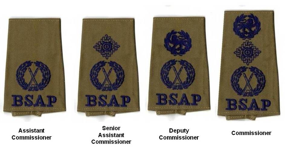 10047 BSAP Assistant Commissioner rank slides (CO3423) | SA Militaria
