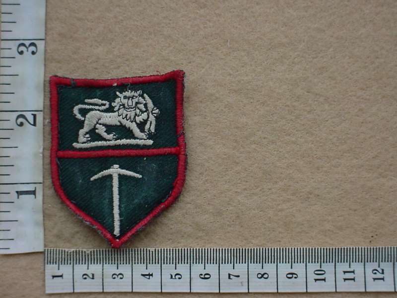 10110 Rhodesian Army arm patch (C506) – SA Militaria