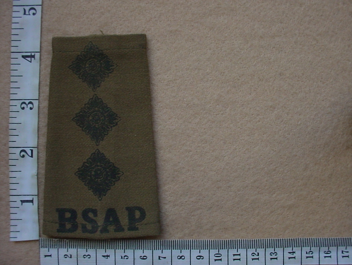 10043 BSAP Chief Inspector rank slide (CO3393) | SA Militaria