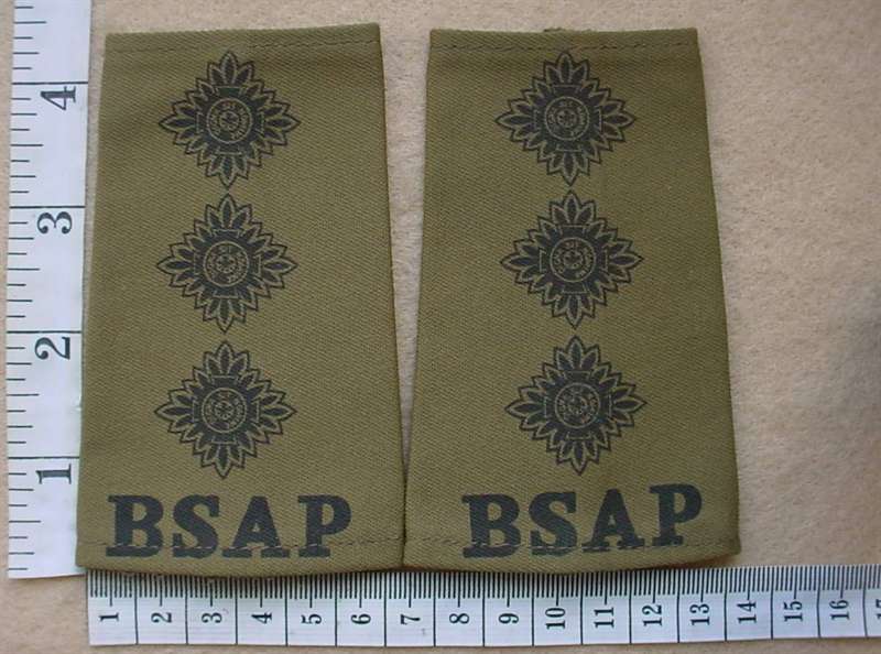 10044 BSAP Chief Inspector rank slides (CO3417) | SA Militaria