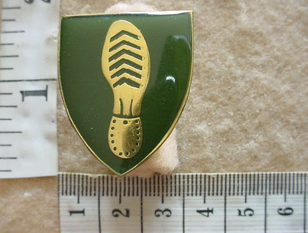 2941 South African Army Tracker qualification badge (DW1 9 17) | SA ...
