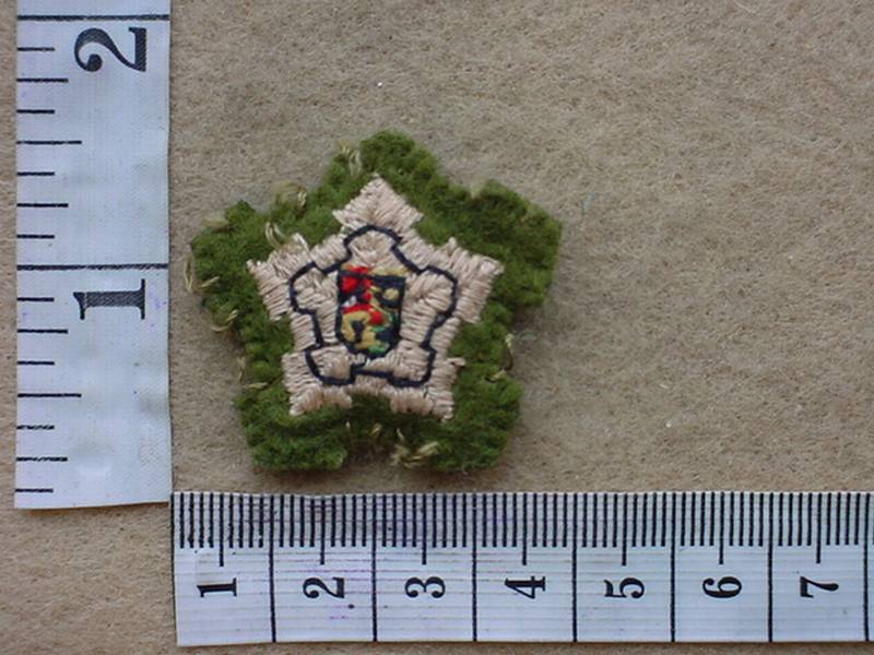 3432 Officers rank badge (Ref. DW1 74 14) | SA Militaria