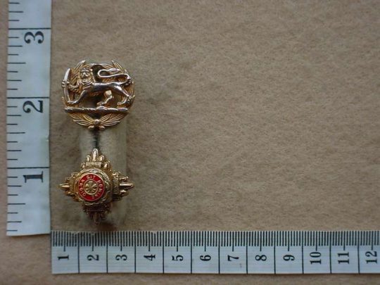 10091 BSAP Chief Superintendent rank badge (Ref. DW2 102) | SA Militaria