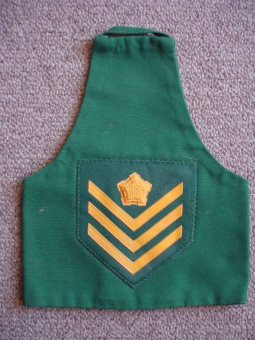 9238 SA Correctional Service Sergeant rank brassard (Ref. Ranks ...