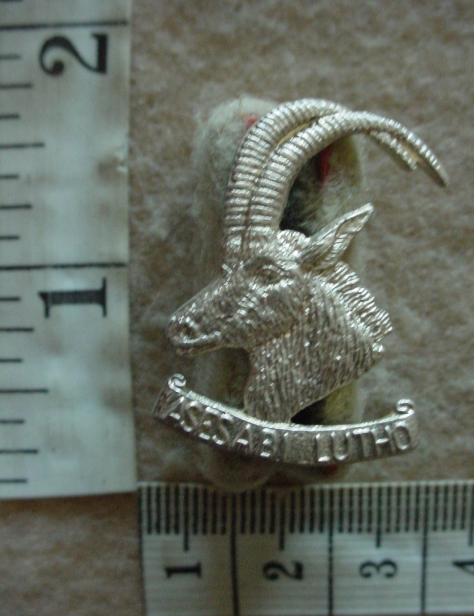 7205 Rhodesian Armoured Cars Regiment collar badge, Officers, Silver ...