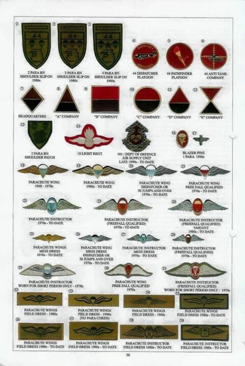 2104-2 South African Army Parachute wings, Soldier 2000 camo dress ...